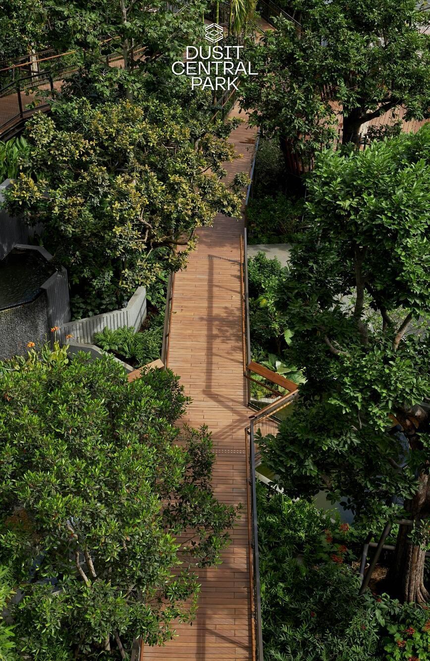 Explore Dusit Central Park, Thailand's largest urban roof park | LSA HK