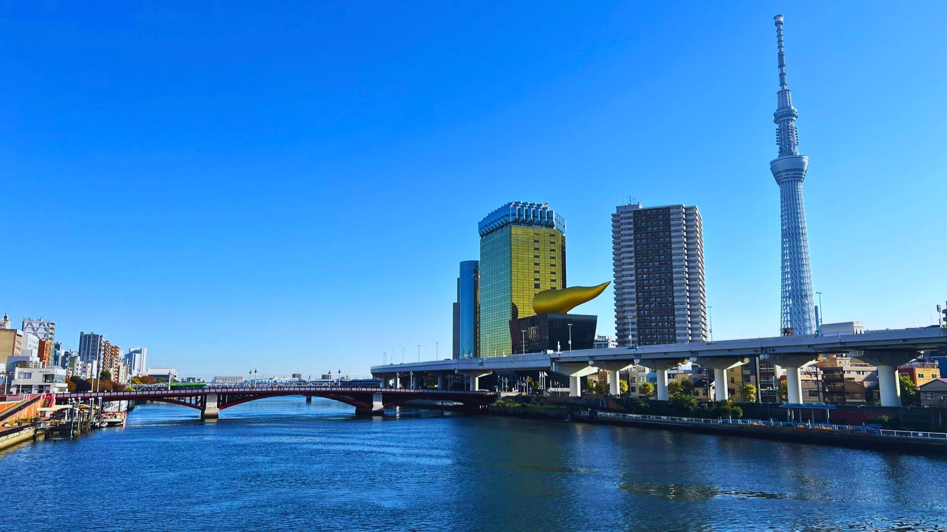 Tokyo Skytree Vs Shibuya Sky: Which One Is Worth Your Time? | LSA HK