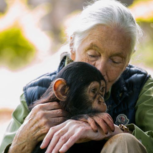 10 iconic Mike Ross quotes from the legal drama Suits | LSA Hong Kong