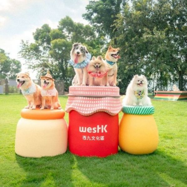 Get October 1 movie tickets at half price across Hong Kong cinemas