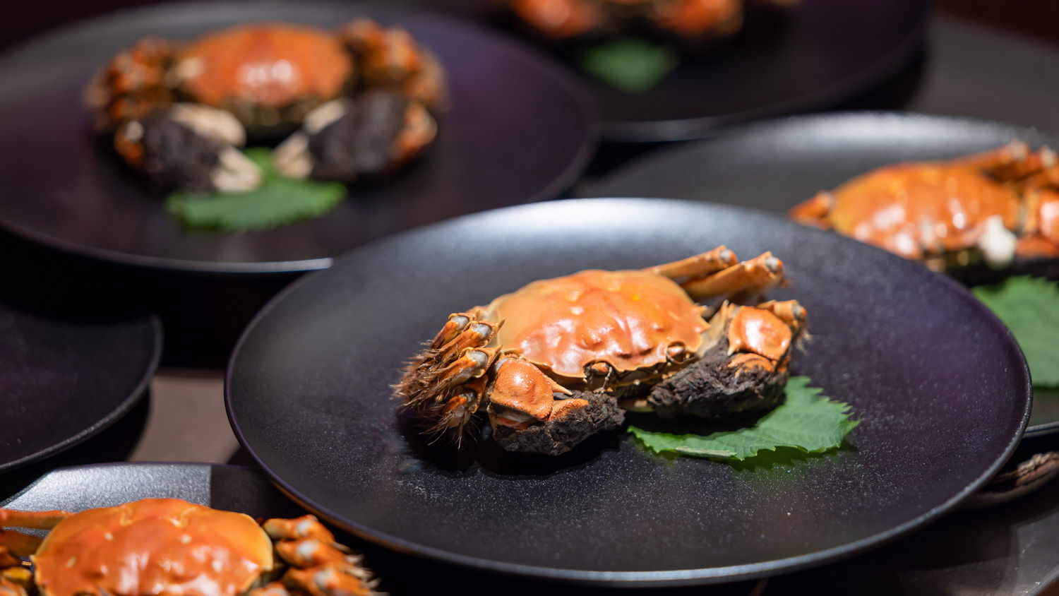 The Macallan House and Nero Ip Pair Hairy Crab With Valdespino