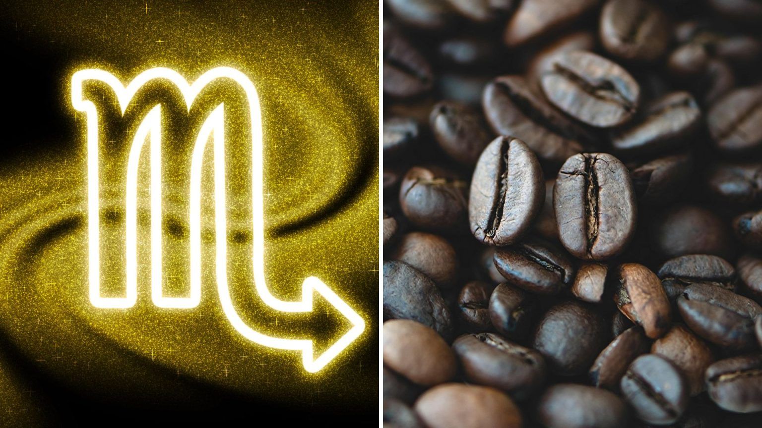 Our guide to the right perfume for your zodiac sign | LSA Hong Kong