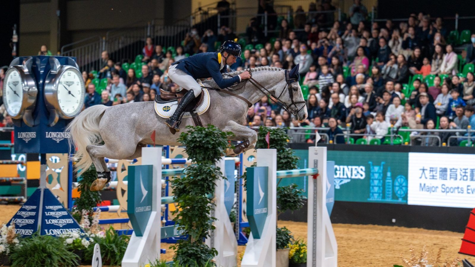 Longines Hong Kong International Horse Show 2026: What to know