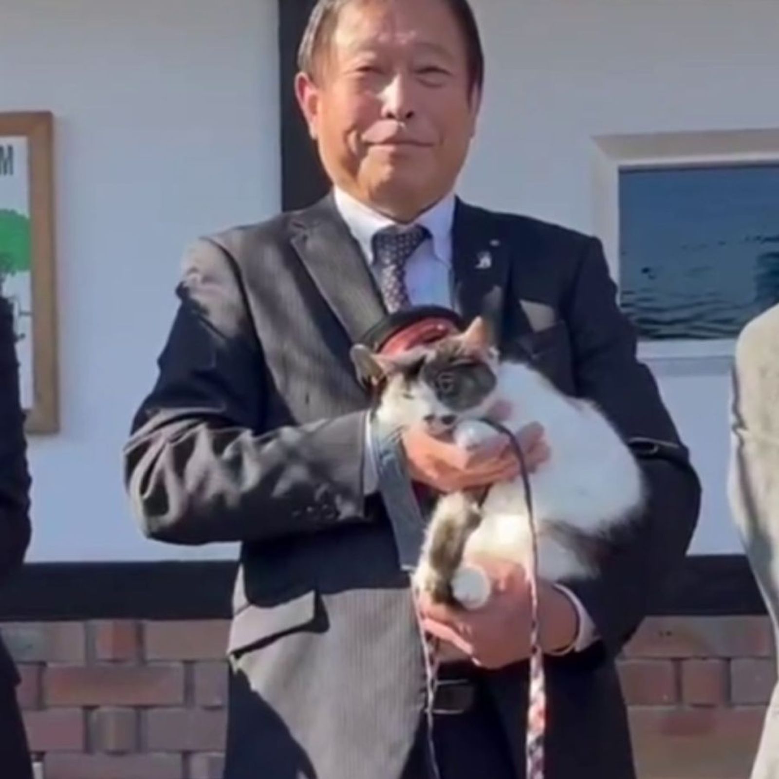 Japan Appoints A Calico Cat As Stationmaster Of Kishi Station | LSA HK