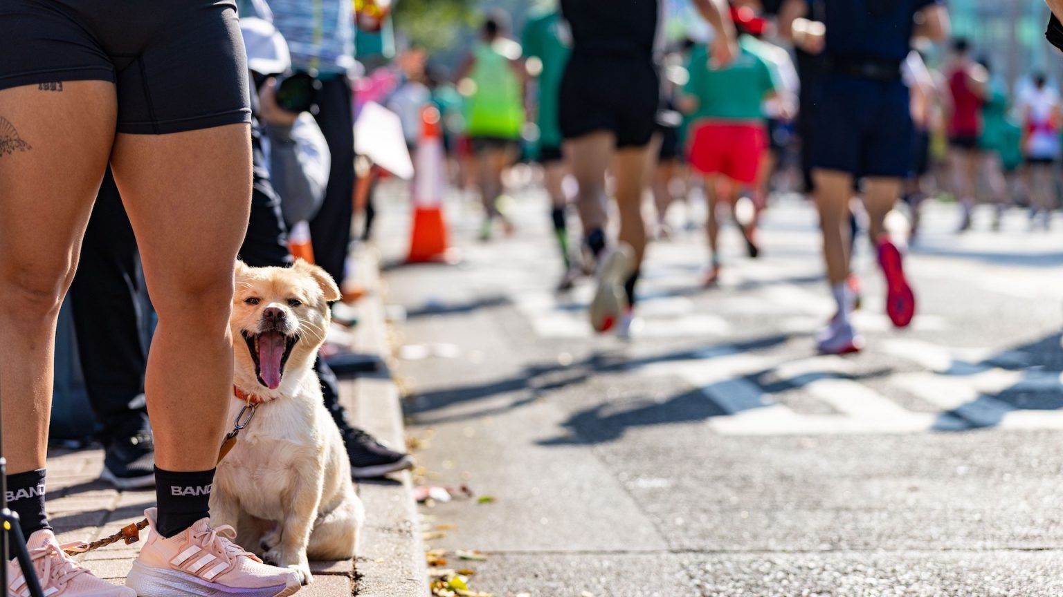 A quick recap of everything from the Standard Chartered Marathon 2026