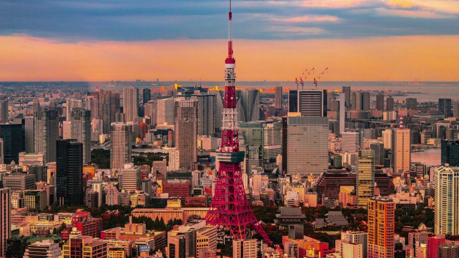 Things To Do In Tokyo With Kids: Theme Parks, Museums, More | LSA HK