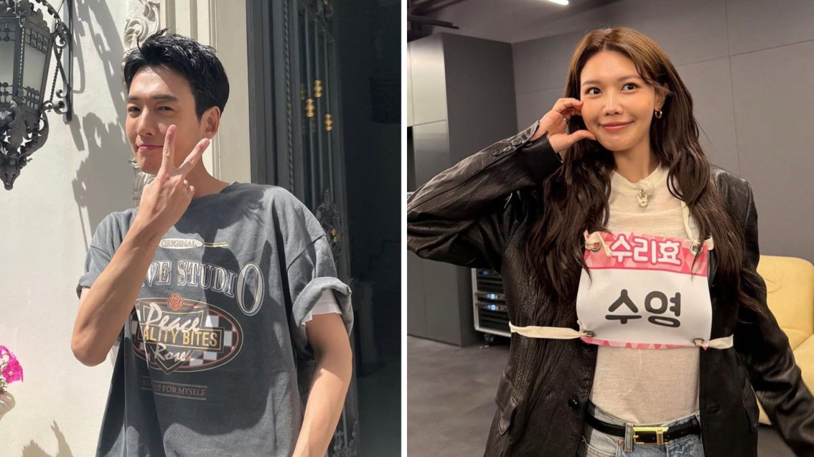 Choi Sooyoung and Jung Kyung-ho: The complete relationship timeline