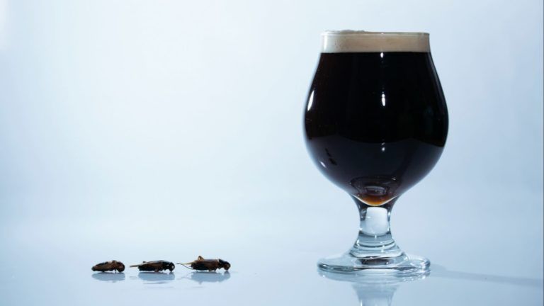 Why alcohol made from insects is the next big trend for the drink industry