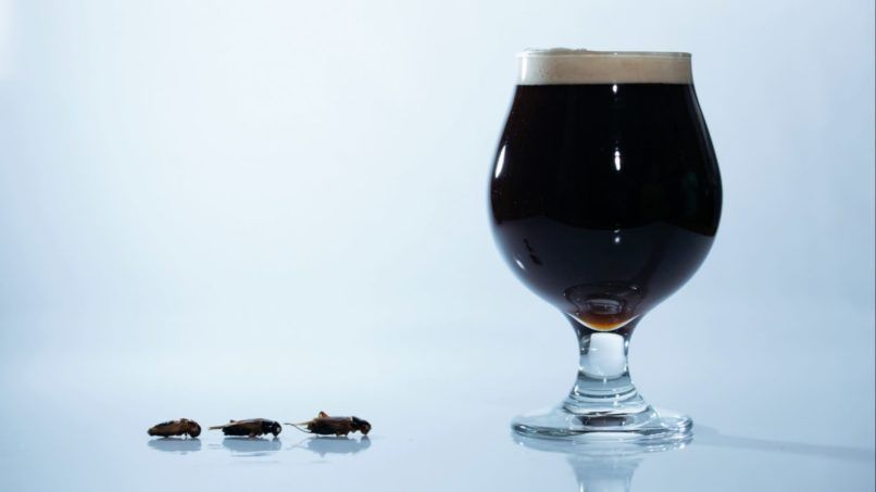 Why alcohol made from insects is the next big trend for the drink industry