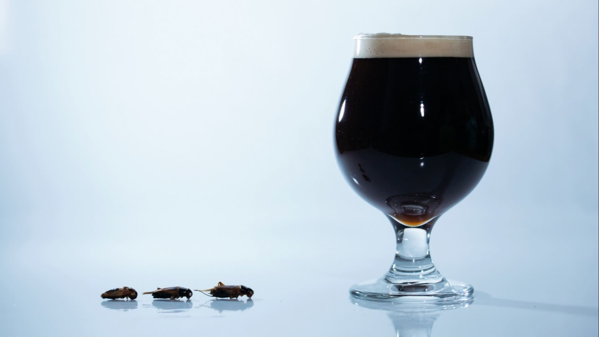 Why alcohol made from insects is the next big trend for the drink industry