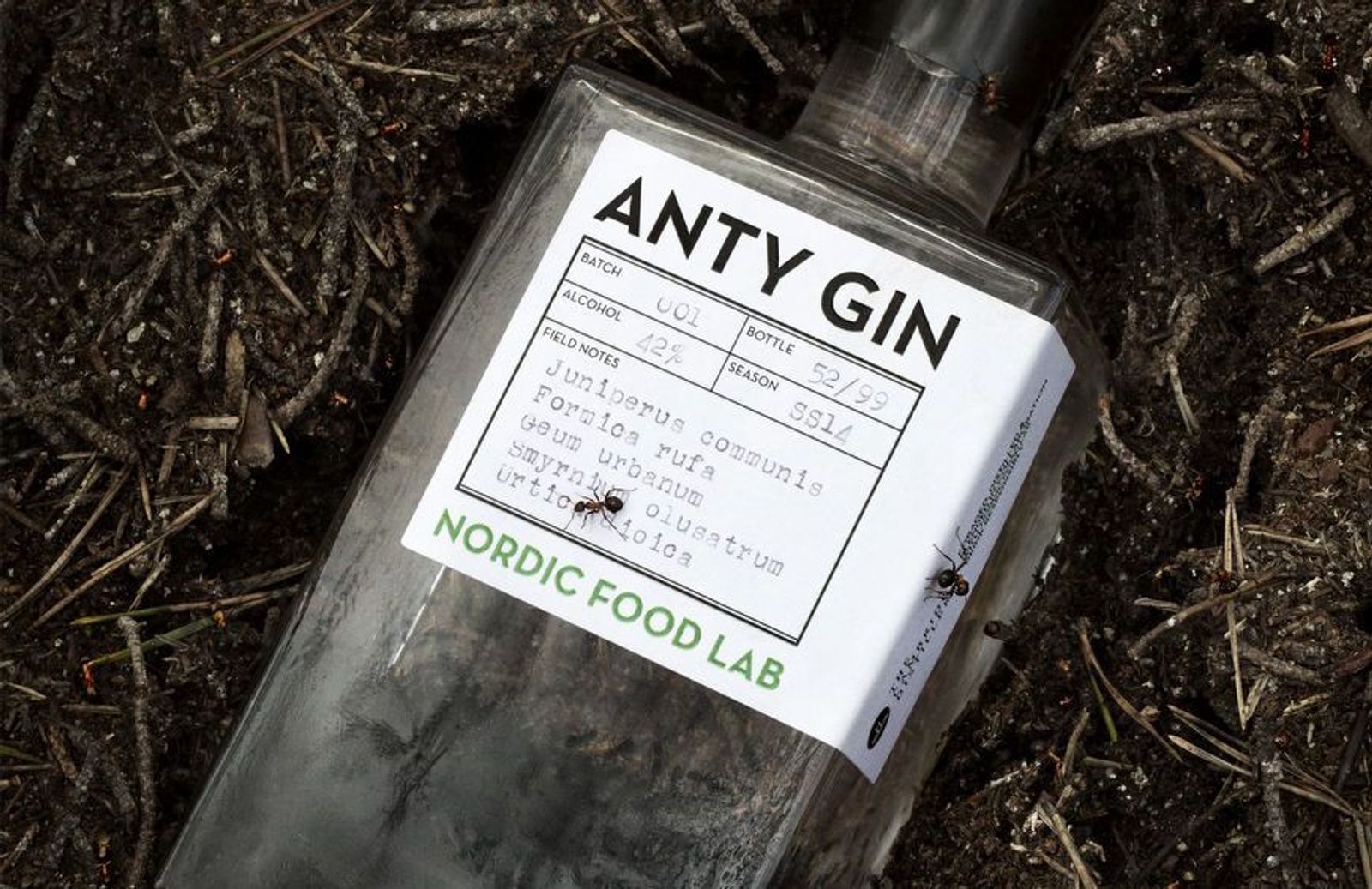 Why alcohol made from insects is the next big trend for the drink industry