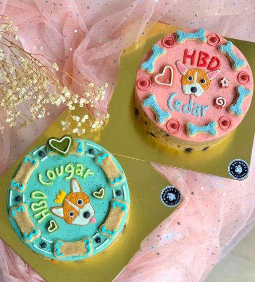 5 best places to get gourmet pet food and treats for your furry friends