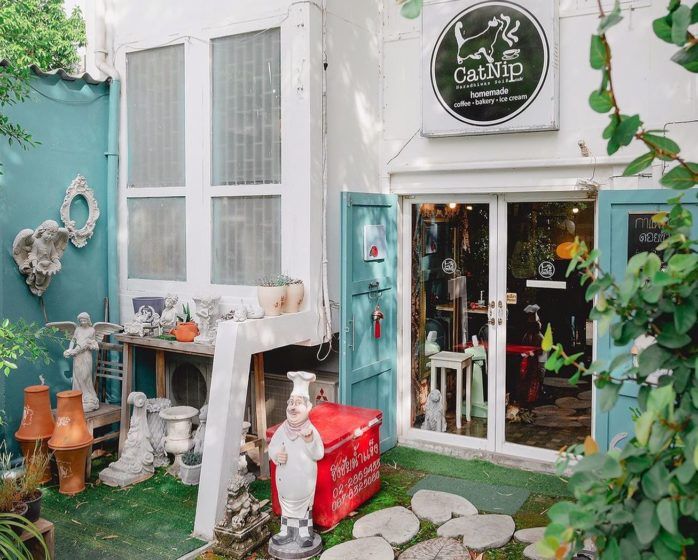 5 Bangkok cat cafes for a purr-fect afternoon | Lifestyle Asia Bangkok