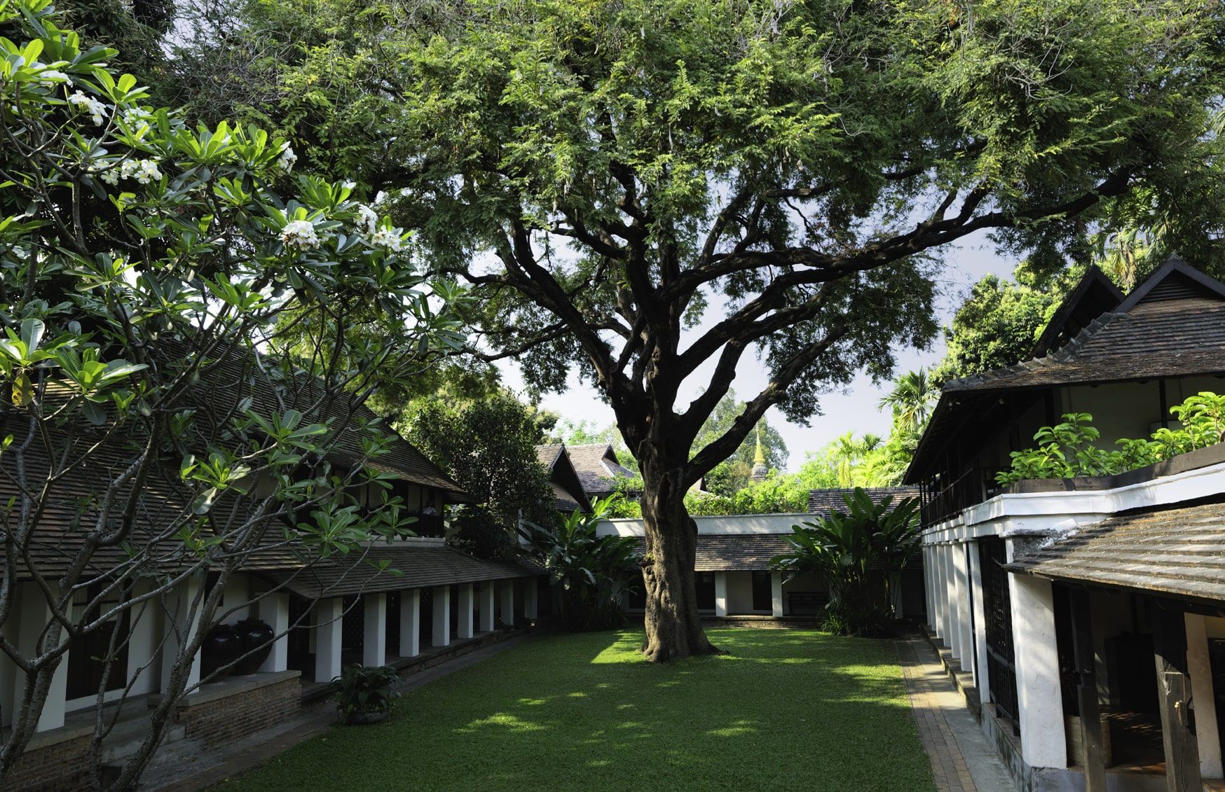 Hotel Review: Tamarind Village, an oasis within Chiang Mai's Old City walls