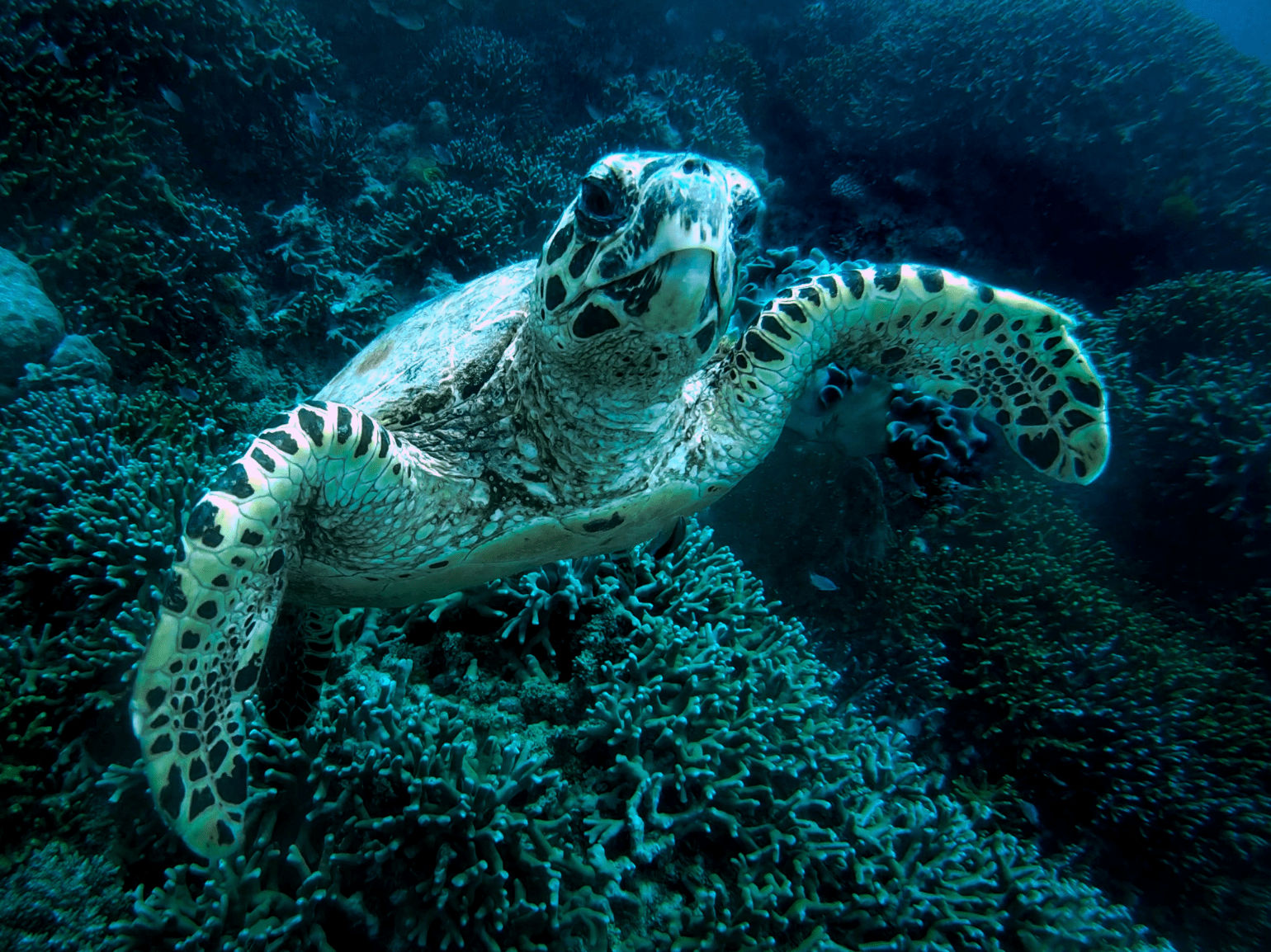 Responsible travel: 10 ecotourism destinations for your bucket list