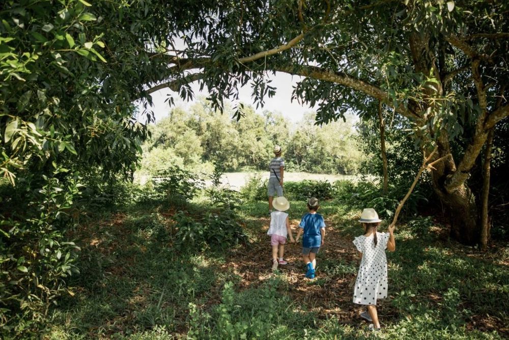 First Look: Tri Vananda, an integrative wellness community in Phuket