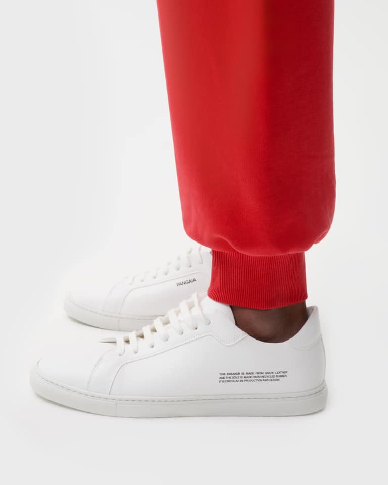 Why grape leather is the latest darling in the world of sustainable ...