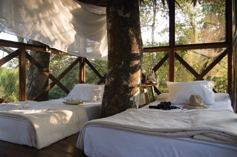10 beautiful treehouse hotels around the world for nature lovers