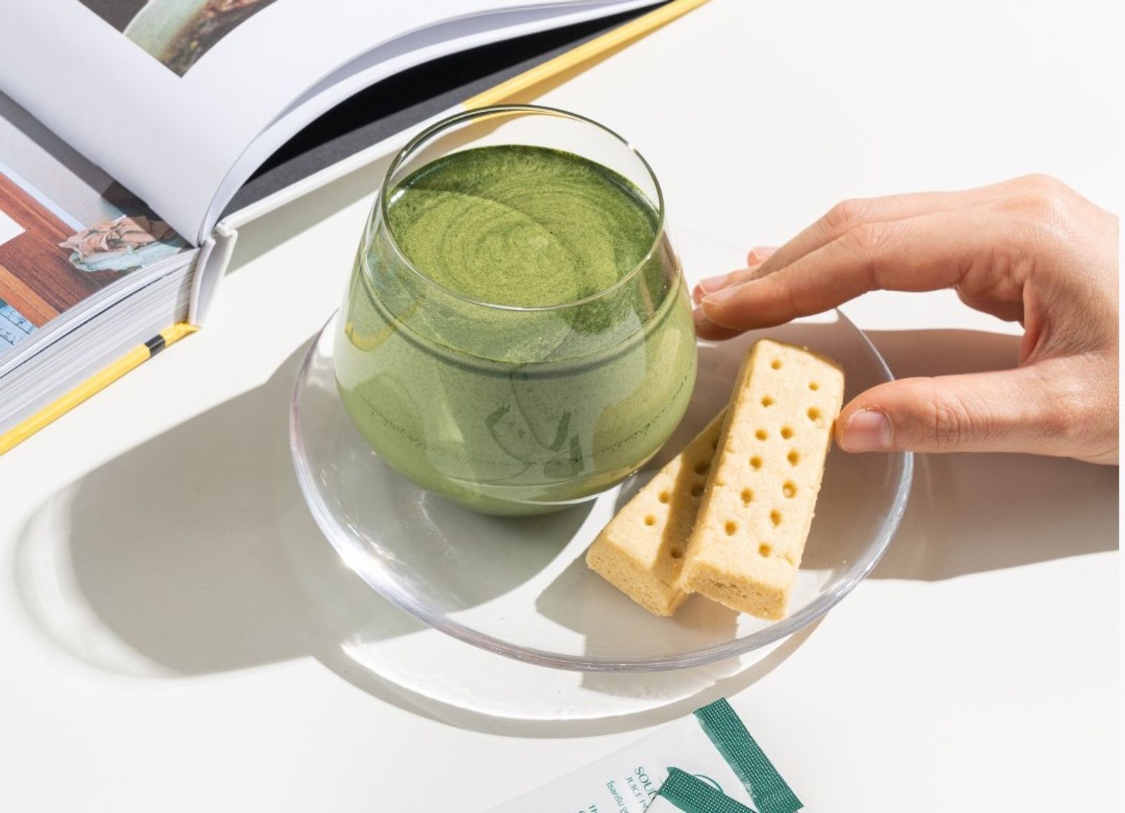 Where to order plant powder in Bangkok and become a green goddess