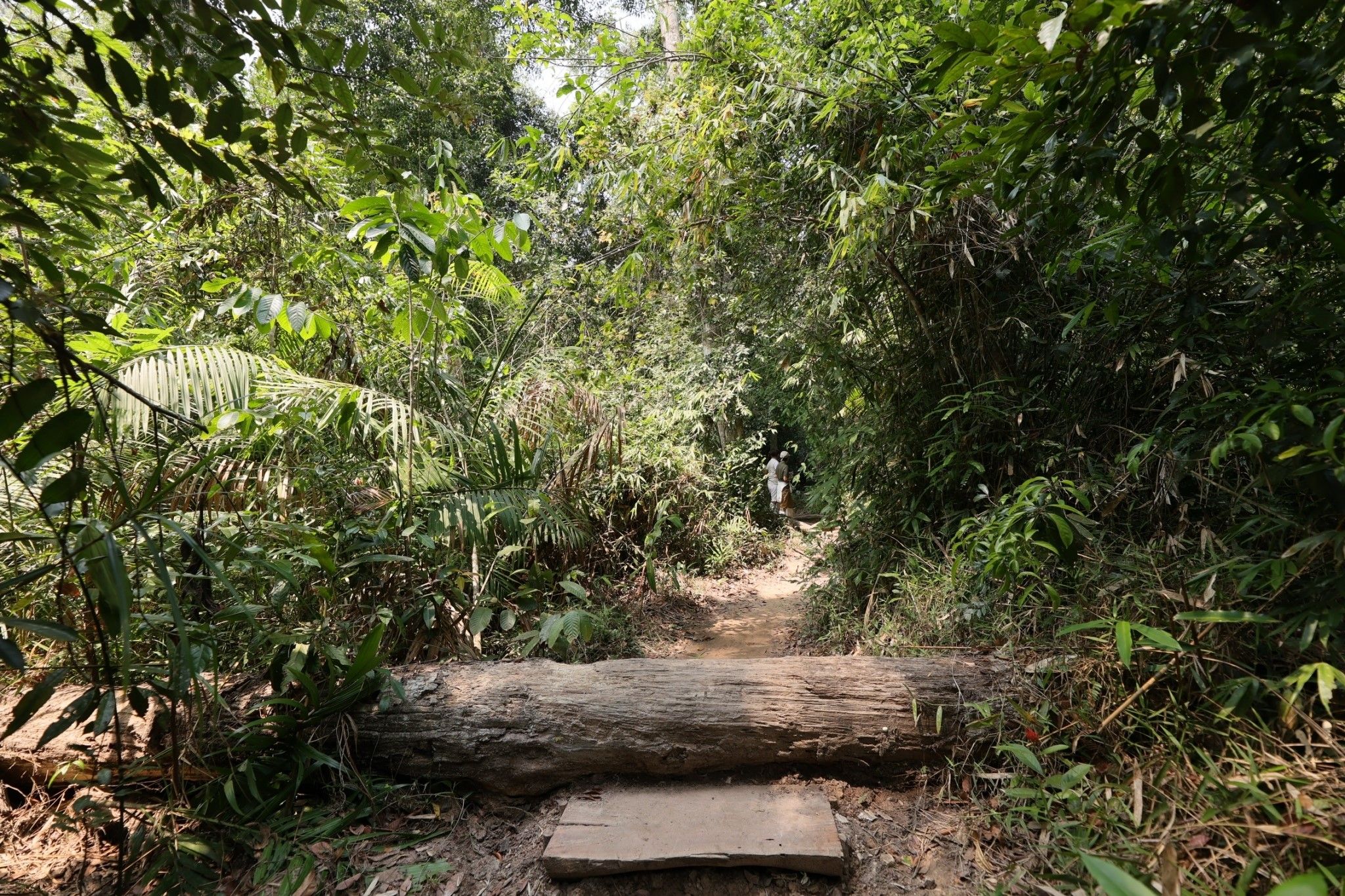 5 reasons to visit the Thai-German Friendship Trail in Khao Yai