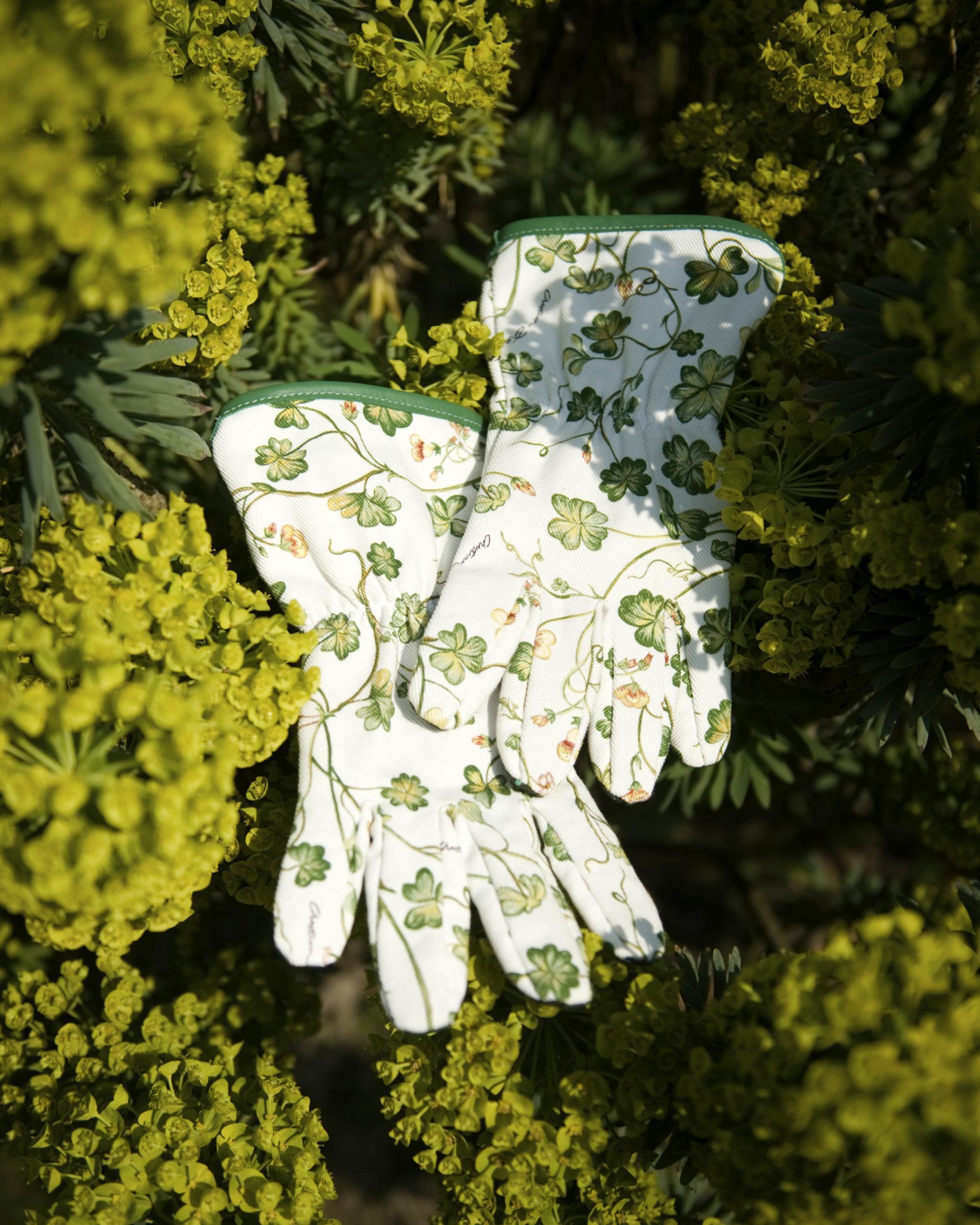 The new Dior gardening and tableware collection | Lifestyle Asia Bangkok