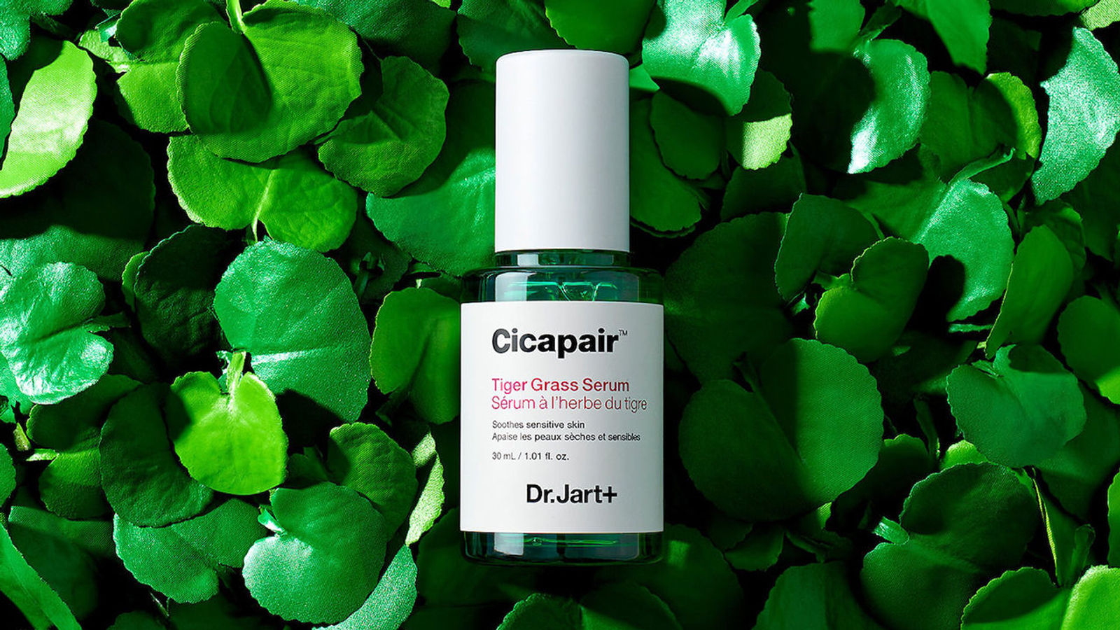 The best cica products to add to your skincare routine now