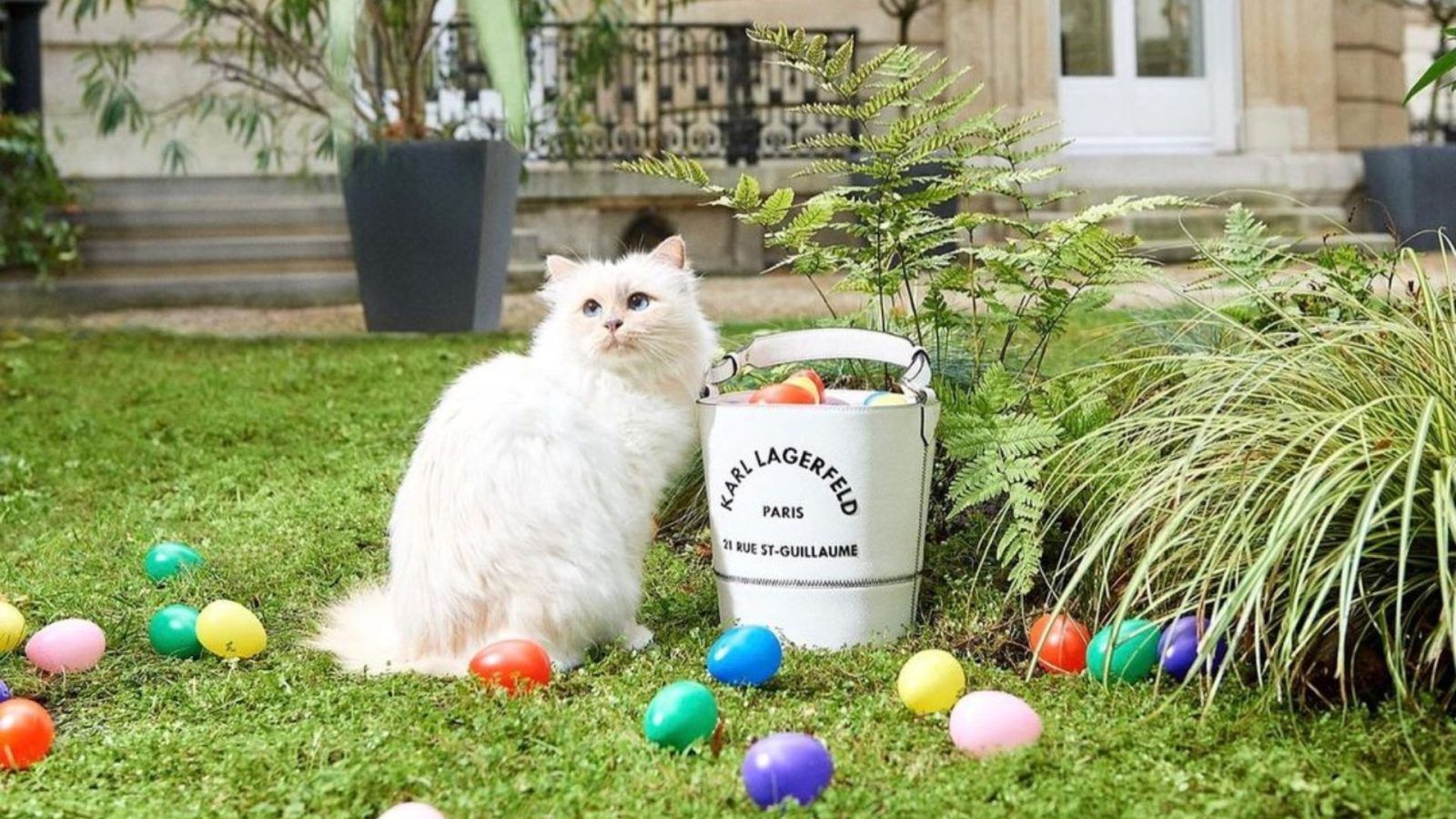 10 of the richest celebrity pets