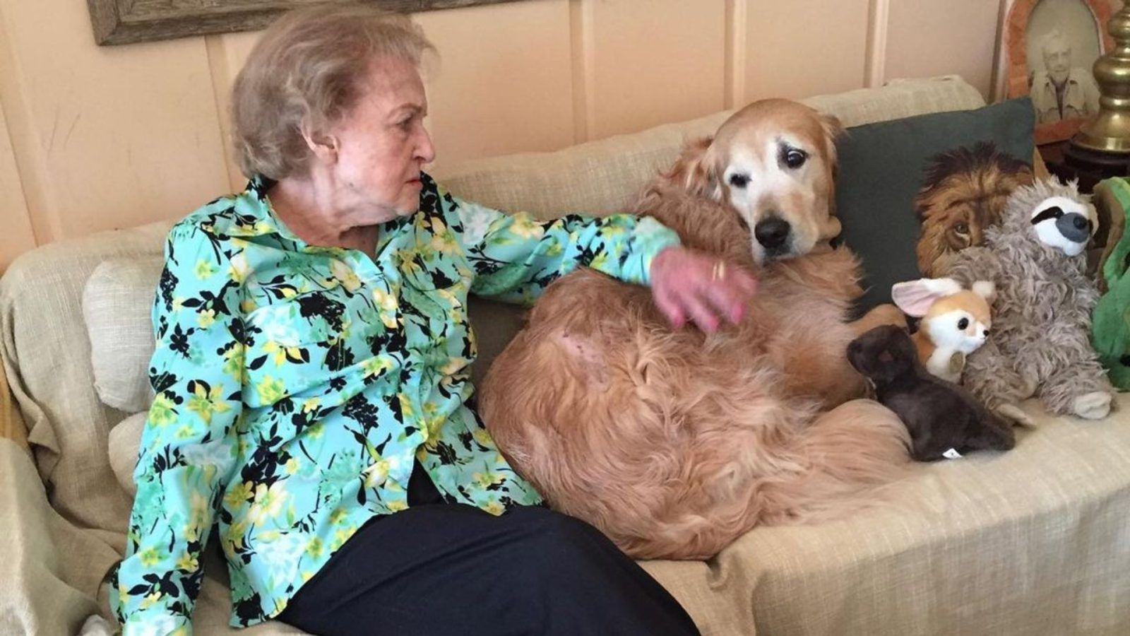 10 of the richest celebrity pets