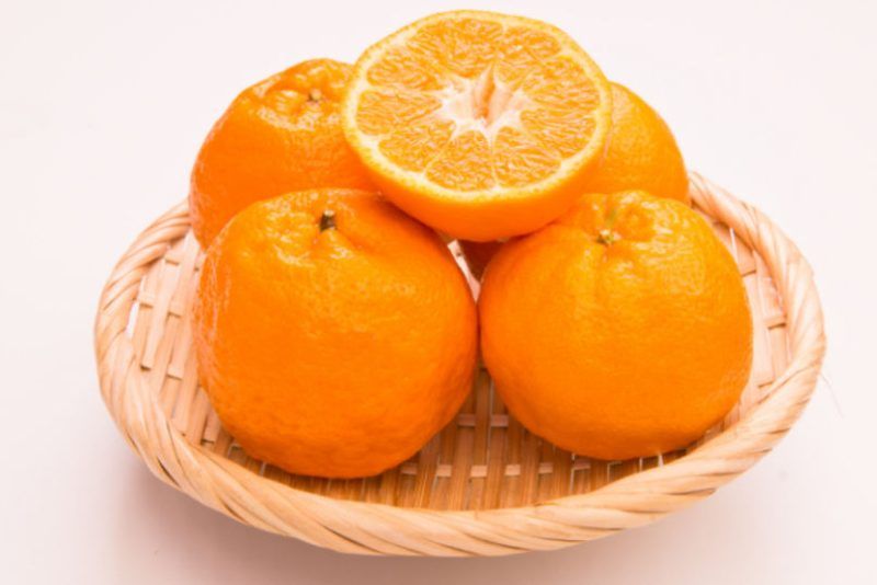 Types of mandarin oranges for Chinese New Year
