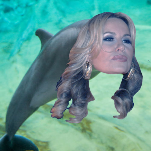 7 roles we'd love to see Jennifer Coolidge play (including a dolphin)