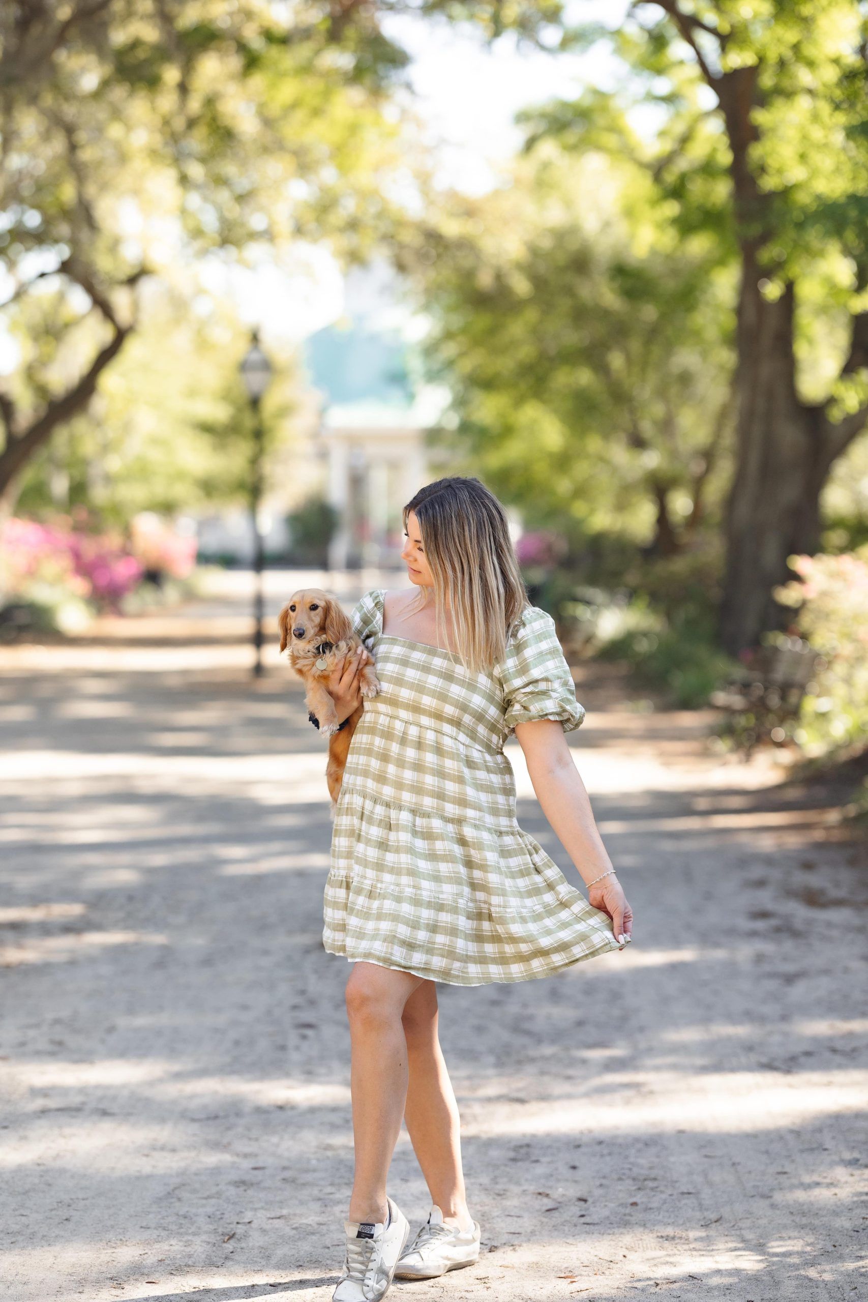 Interview: Fifi, the dog that flew business class and went viral