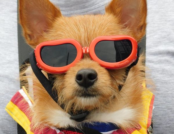 Unforgettable Experiences: Must-See Destinations in Asia