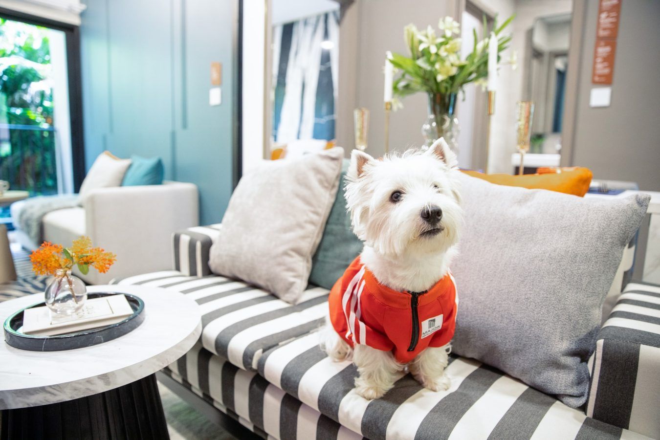 Pet-friendly condos around Bangkok for your four-legged friends