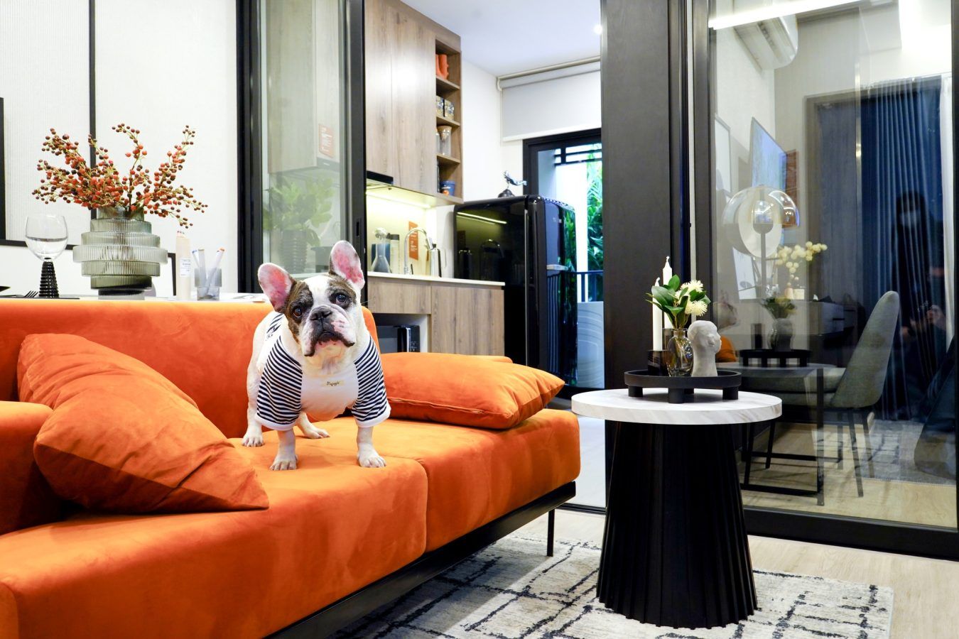 Pet-friendly condos around Bangkok for your four-legged friends