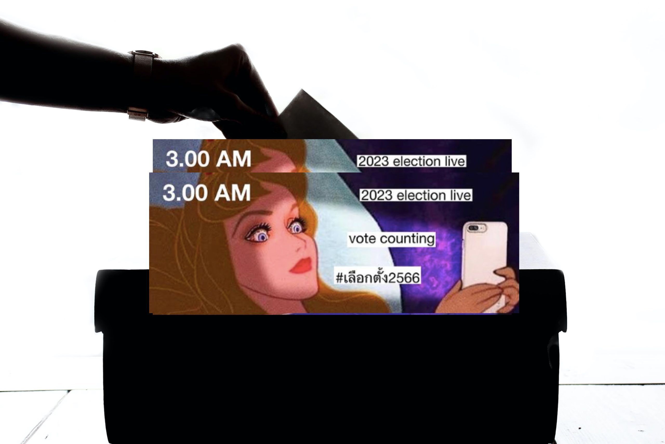 The best memes about the 2023 Thai Election