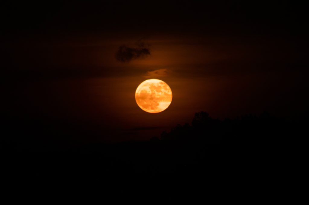 The strawberry full moon in June 2023, and its effect on the zodiac signs