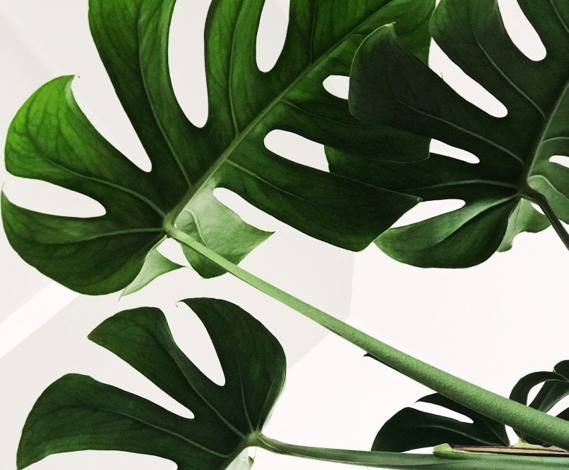 Lucky and unlucky colours for the Cancer zodiac sign