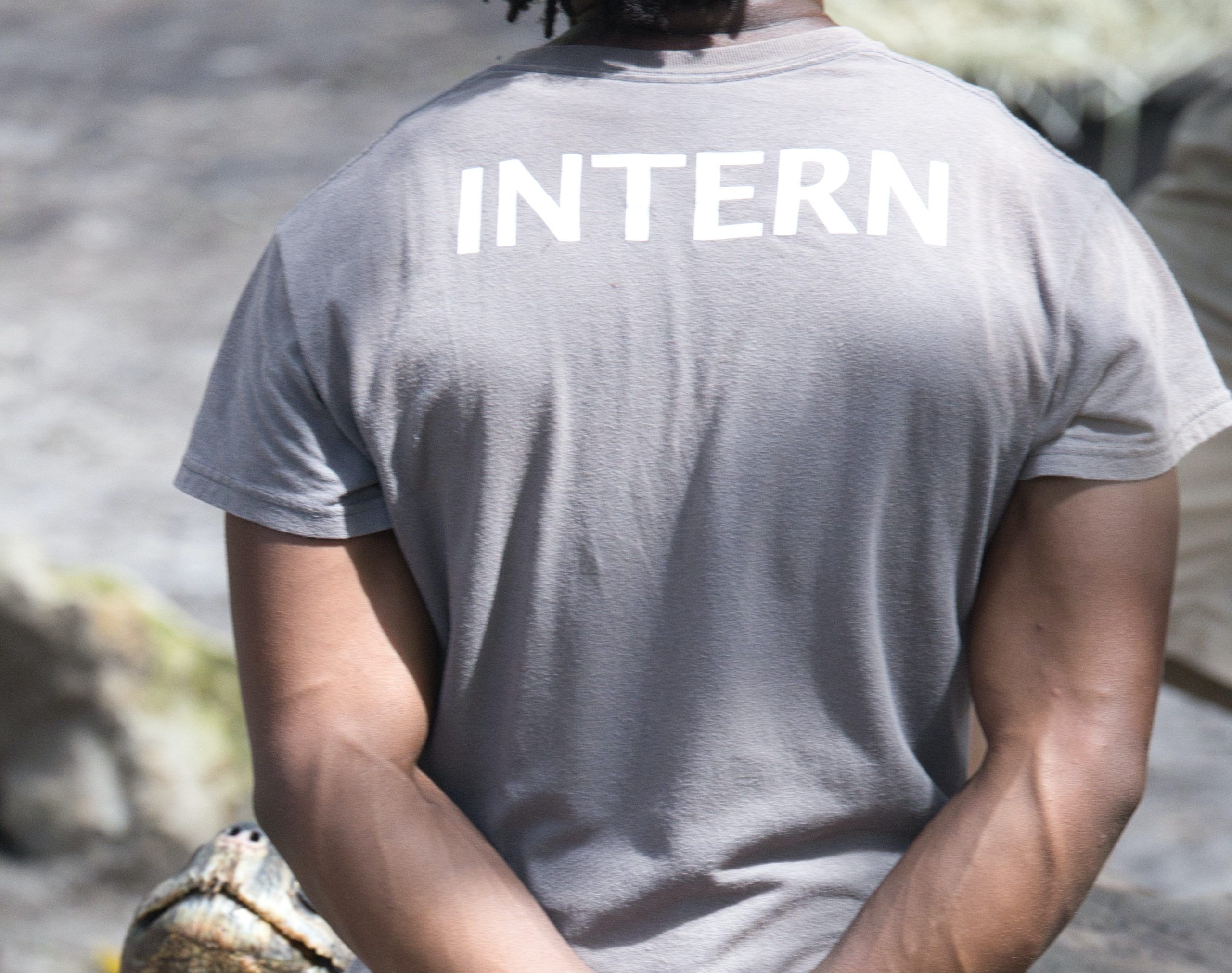 10 things I learned as a Lifestyle Asia intern in Thailand