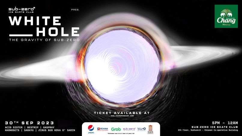 Sub-Zero Ice Skate Club is hosting an electronic music party on ice