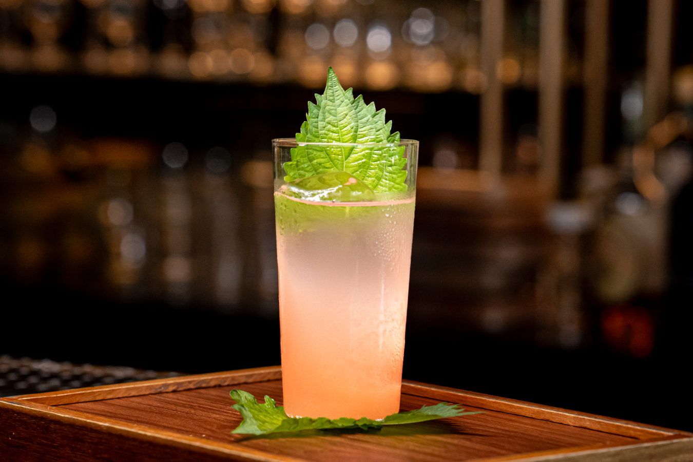 Curating a refreshing cocktail using Haku Vodka for Bangkok's warm winter