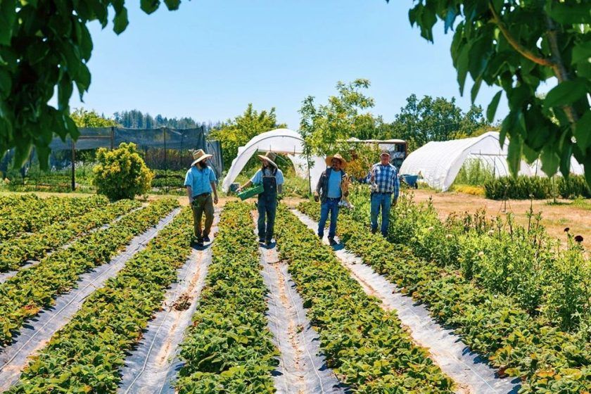 Michelin-starred farm-to-table restaurants in the world