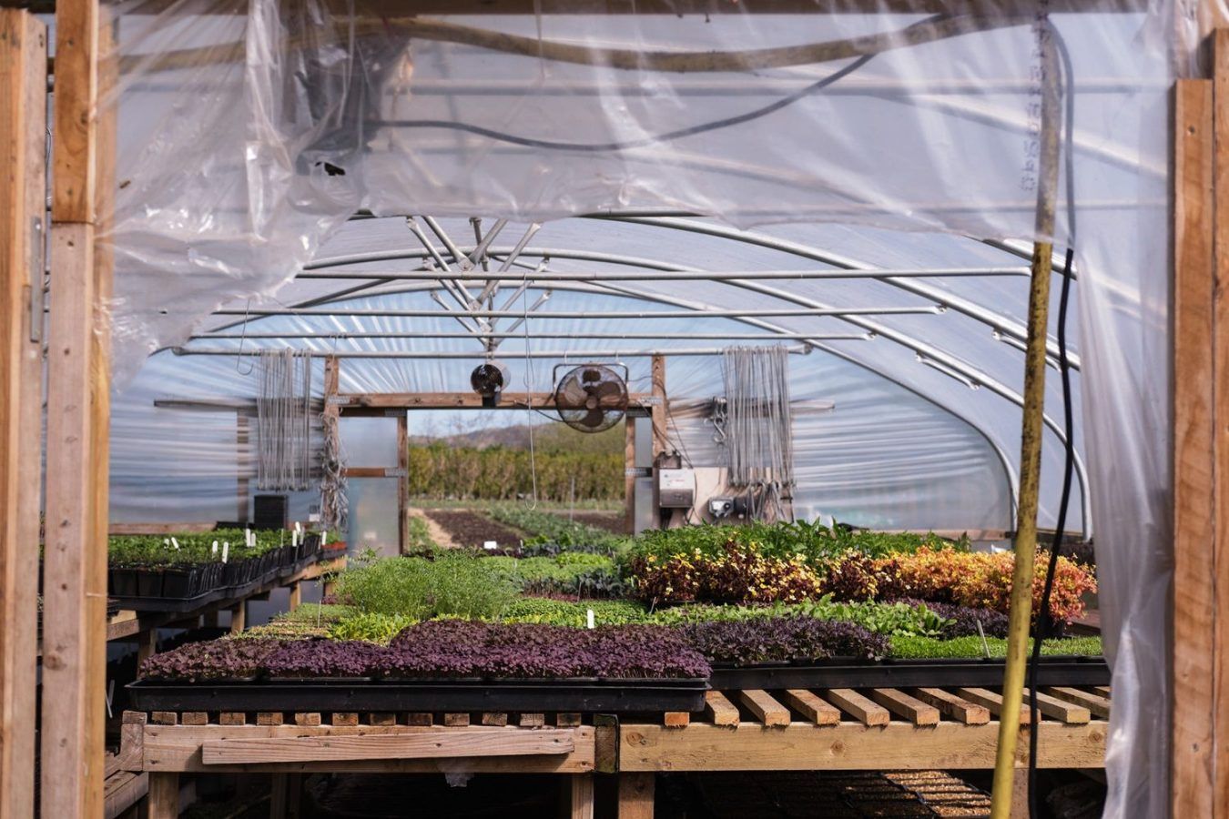 Michelin-starred farm-to-table restaurants in the world