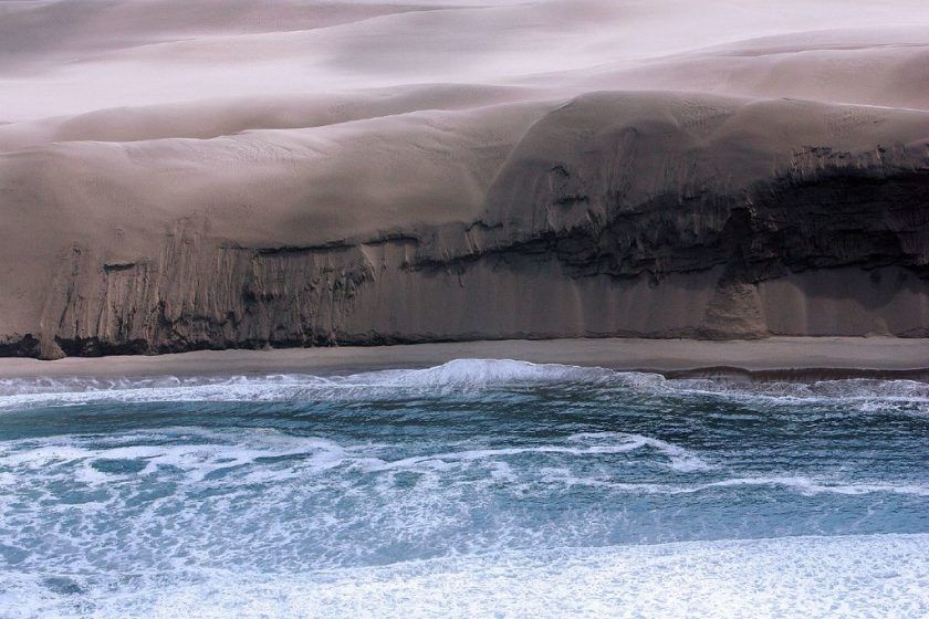 Peter Allison unveils the beauty of African Safari with A2A Safaris