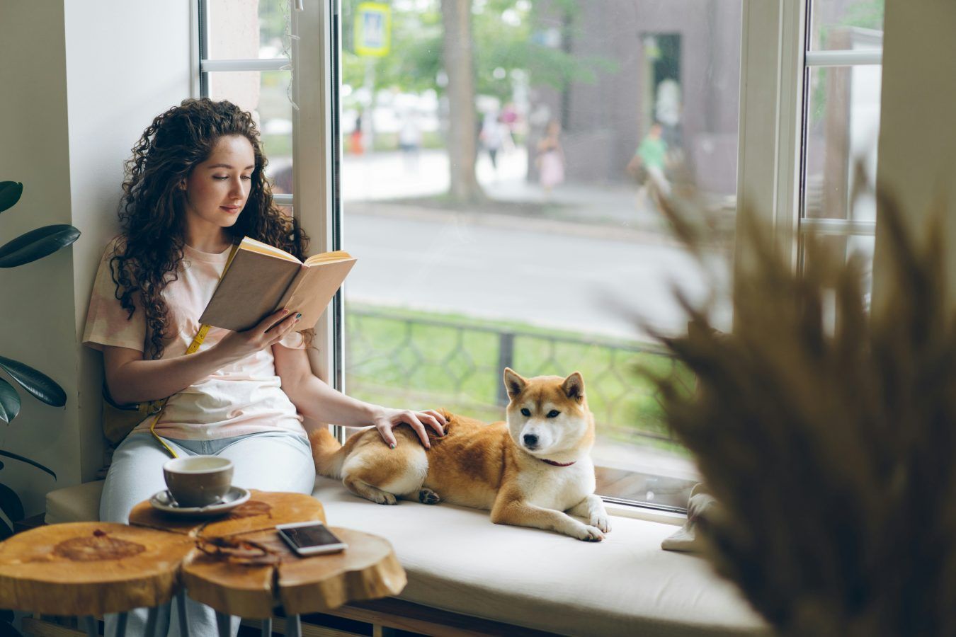 Dog cafes in Bangkok for a fluffy, relaxing afternoon