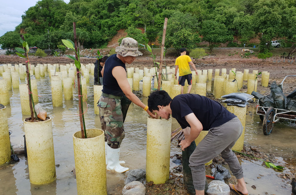Earth Day 2024: Environmental projects in Thailand