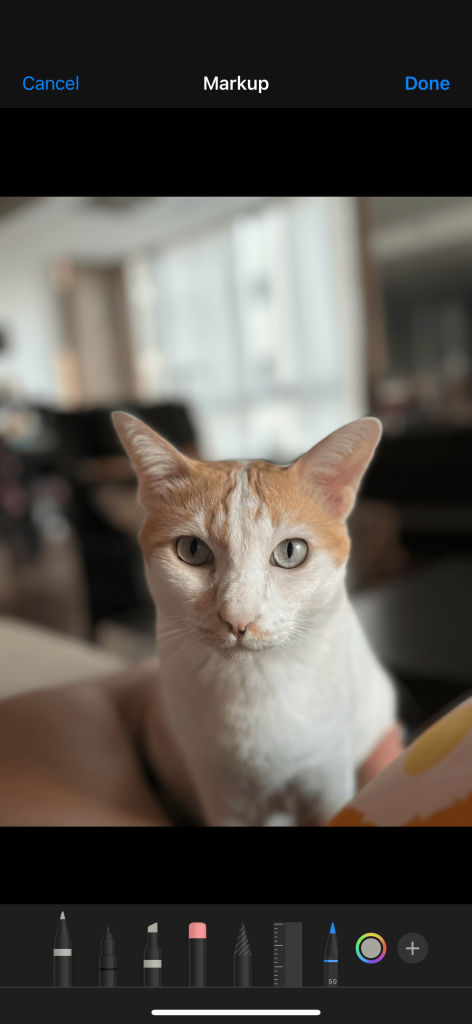 How to get your personal colour analysis using ChatGPT