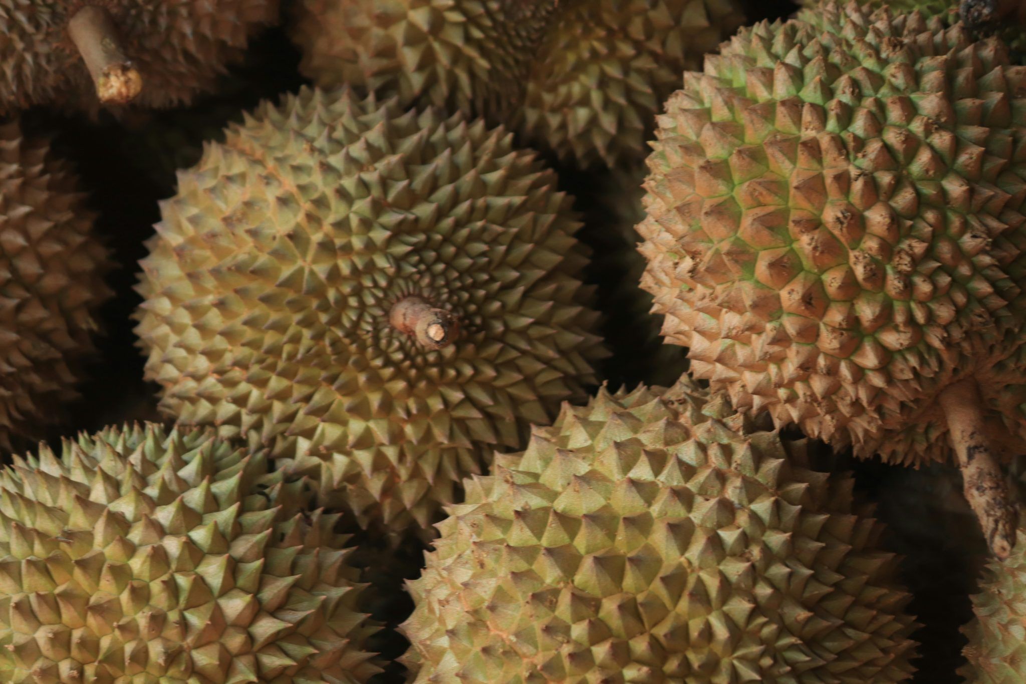 A guide to Thai durian: Popular varieties, how to choose, and more