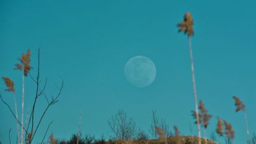 Full Buck Moon: Meaning and effects on zodiacs | Lifestyle Asia Thailand