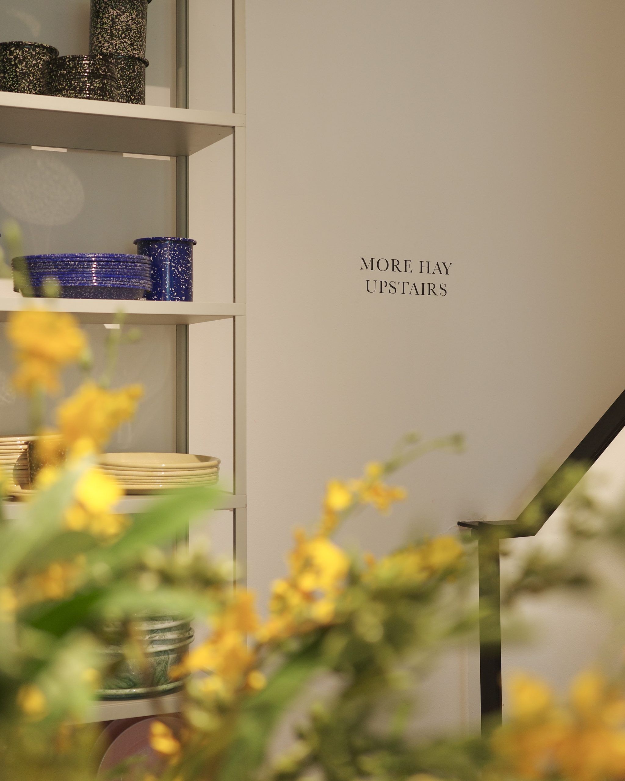 Weekly Obsessions: Purple Patch,