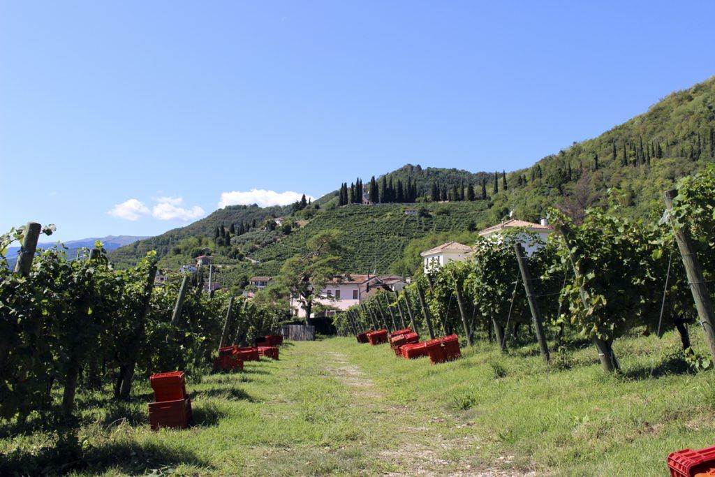 How Nino Franco, Italy’s wine pioneer, revolutionised the industry